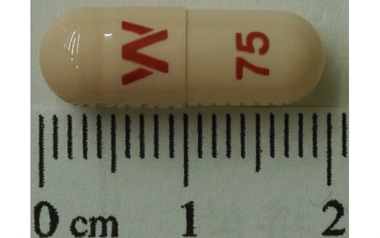 Efexor XR 75mg